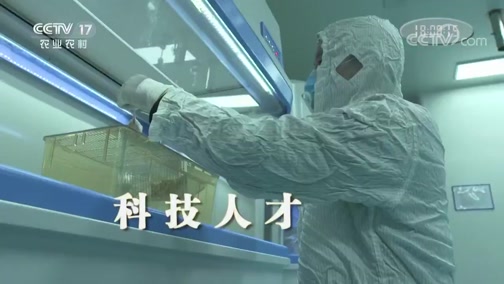 《乡村振兴面对面》 20191130