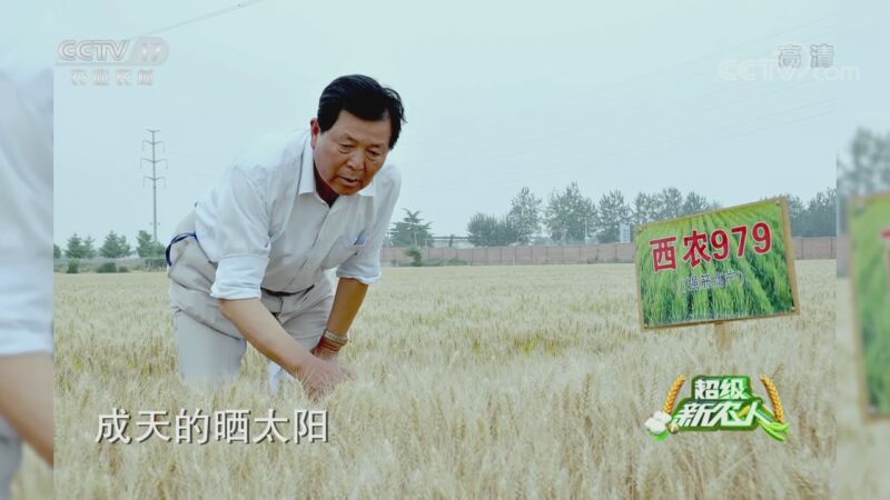 《超级新农人》 20200830 第三站 陕西杨凌