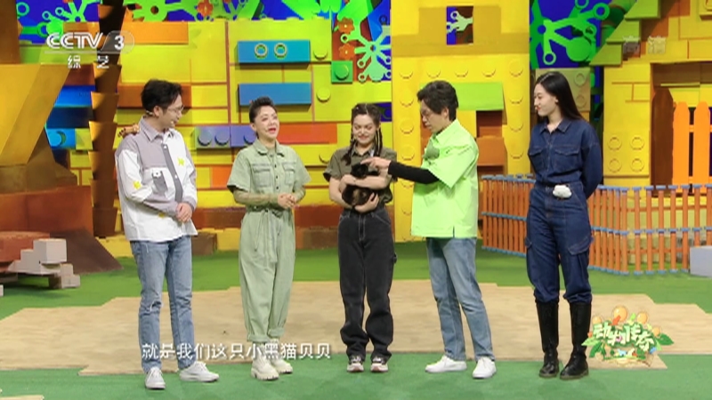 《动物传奇》 20210904 小黑猫