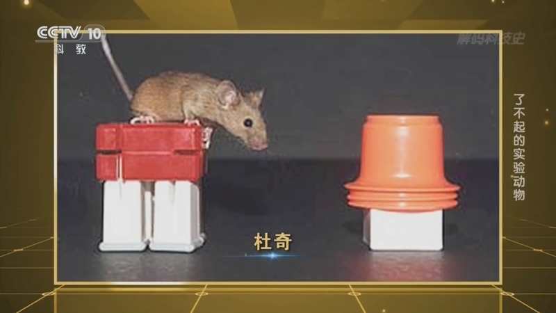 《解码科技史》 20260506 了不起的实验动物