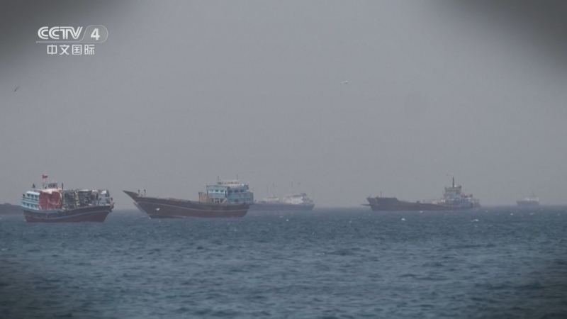 《海峡两岸》 20260508