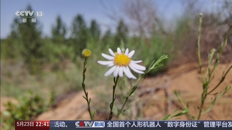 《新闻周刊》 20260523