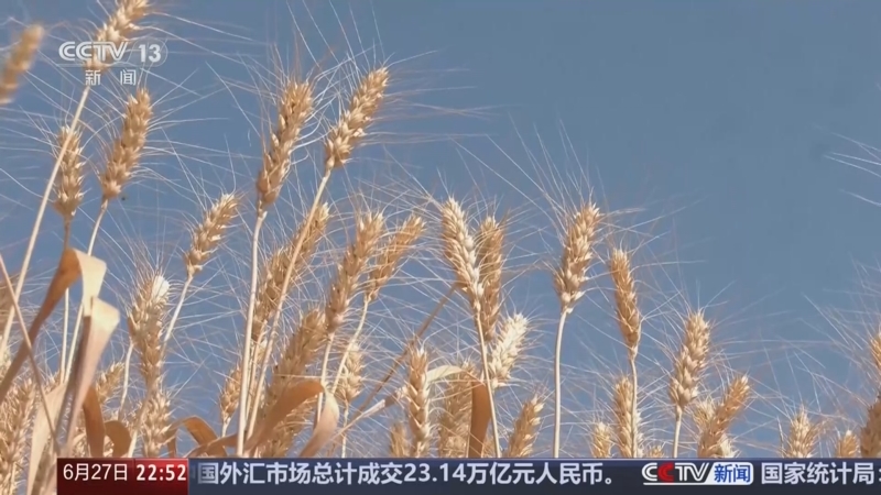 《新闻周刊》 20260627