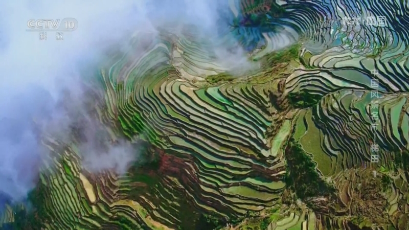 《地理·中国》 20260704 中国风景名片——梯田1