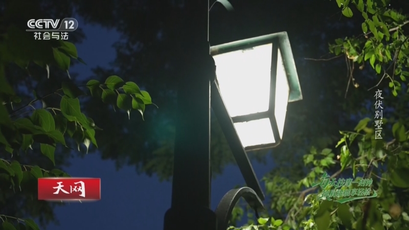 《天网》 20260710 夜伏别墅区