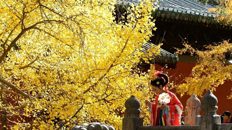 Traditional Han clothing a major hit among Generation Z_英语频道_央视网(cctv.com)