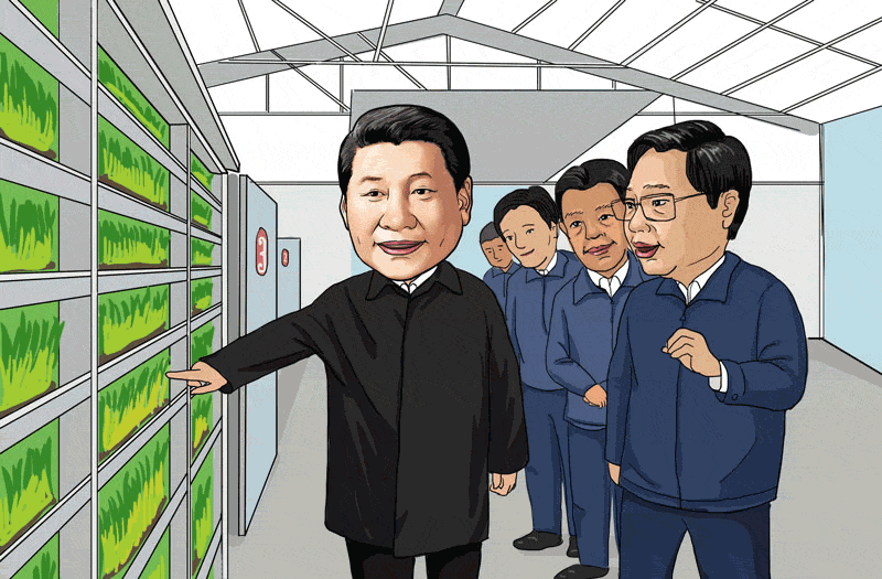 Cartoon commentary on Xi’s Heilongjiang tour②: Guaranteeing food ...