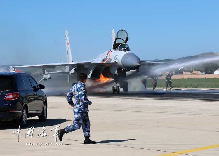 Pilot safely lands fighter jet after bird strike causes fire in engine ...