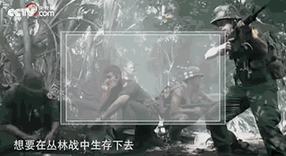丛林作战主题是“跑路”？带你揭秘丛林战场_军事频道_央视网(cctv.com)